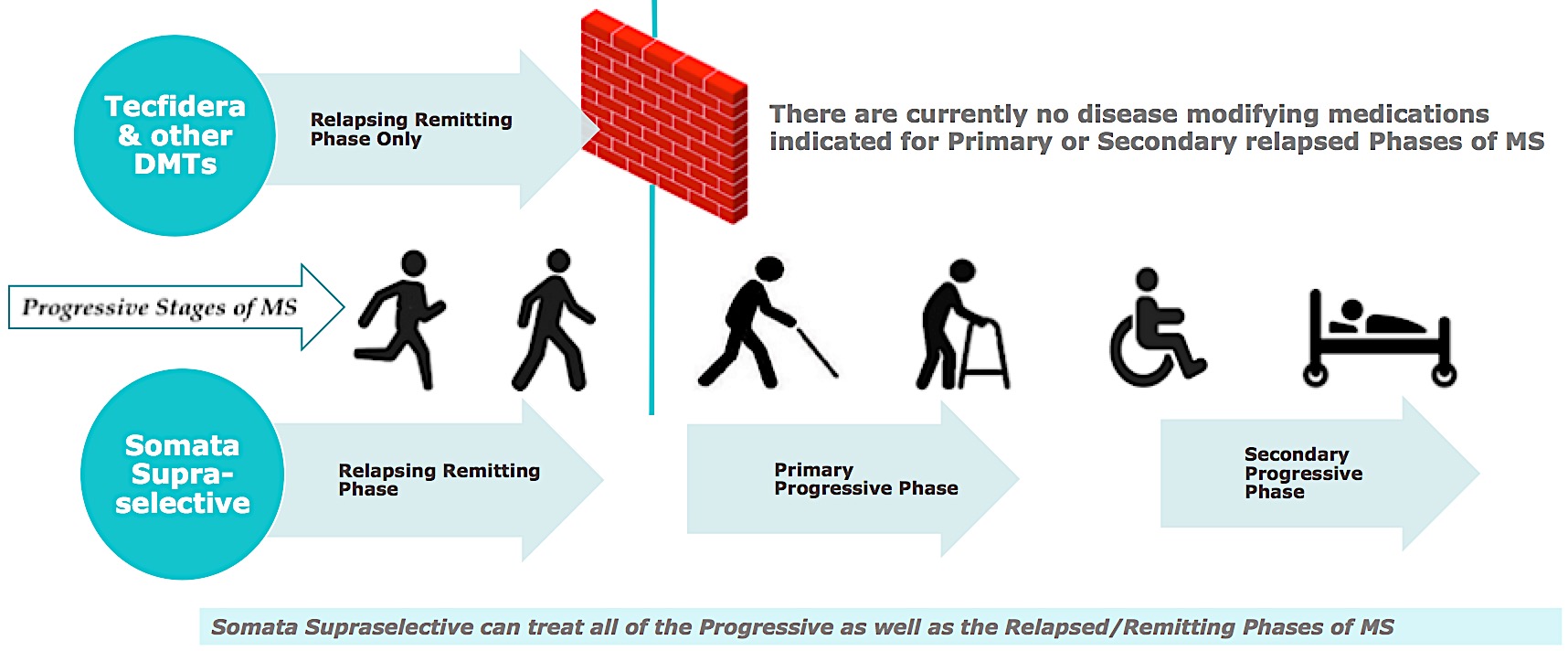 Multiple Sclerosis Research – Somata